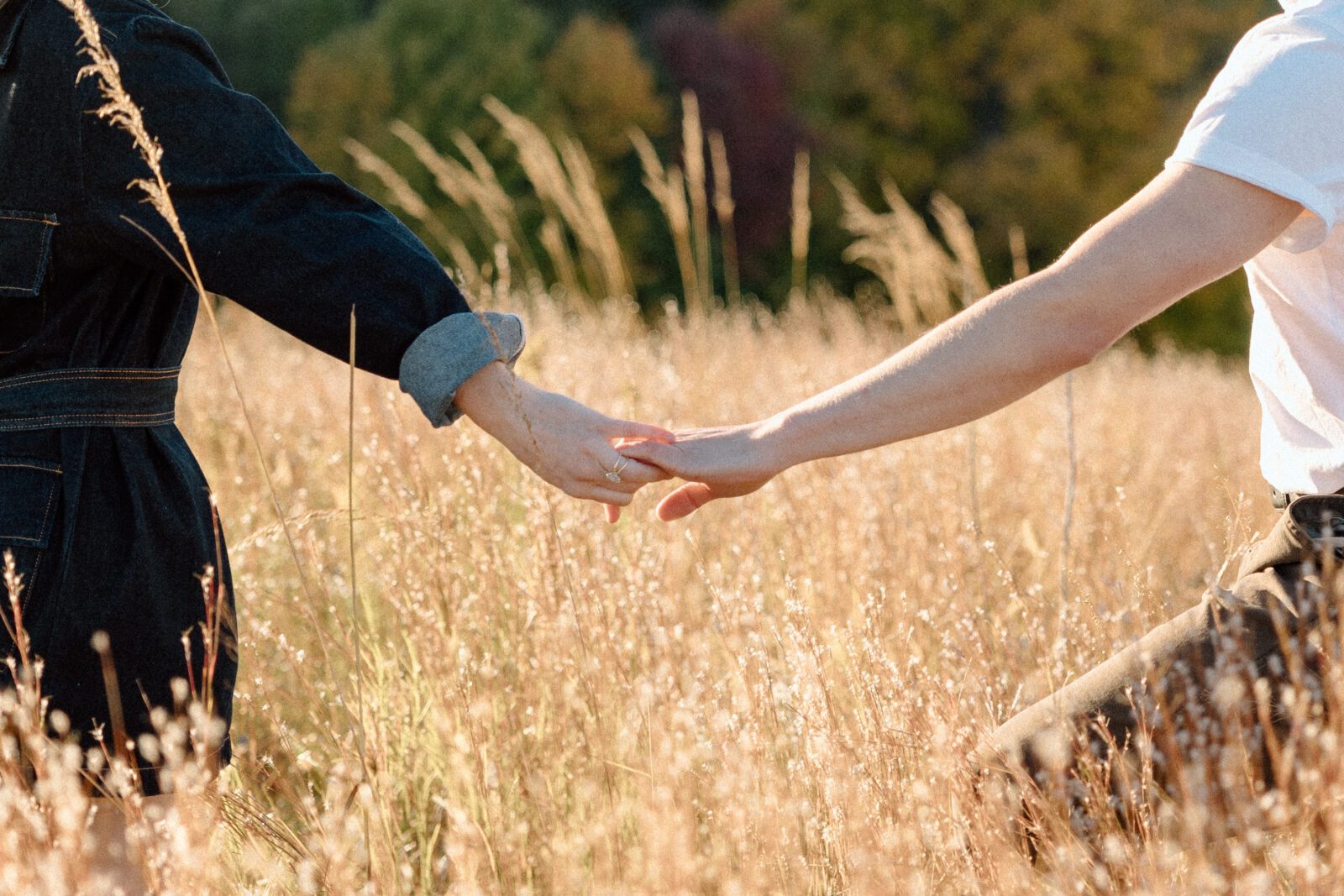 Pope Farm Conservancy Session | Daphne + Matt